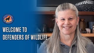 Defenders of Wildlife - GuideStar Profile