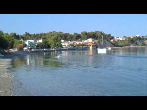 rc boat Pursuit 47,5mph THE DOCTOR