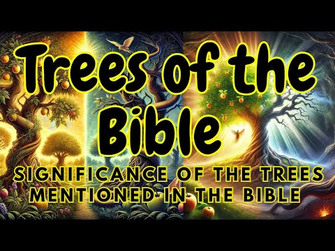 Trees in the Bible and their Meanings – The Symbolism and Importance #bible #trees