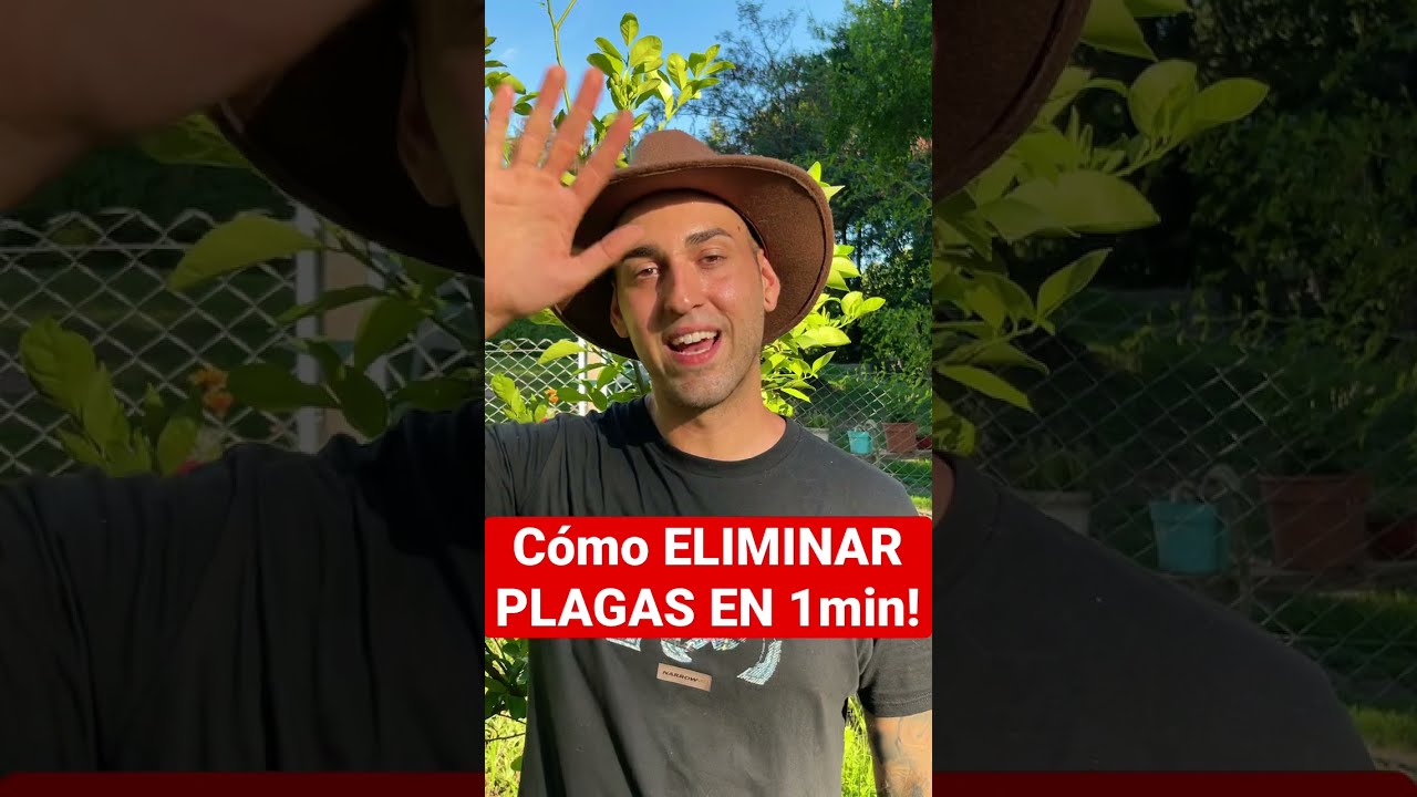 No More Pests on Your Plants❗️ Using This Super-Powerful Insecticide 🎇