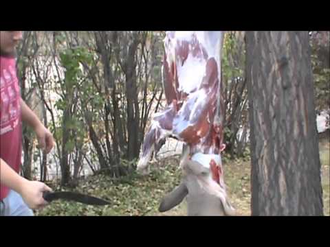 The Power of a Kukri (Warning Graphic Severing of a Harvested Deer)