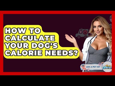 How To Calculate Your Dog's Calorie Needs? - Ask A Pet Vet