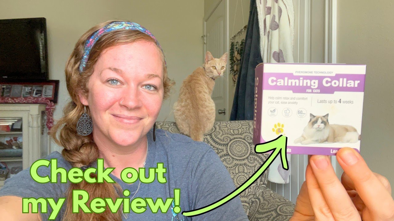 Super effective calming collars for cats!