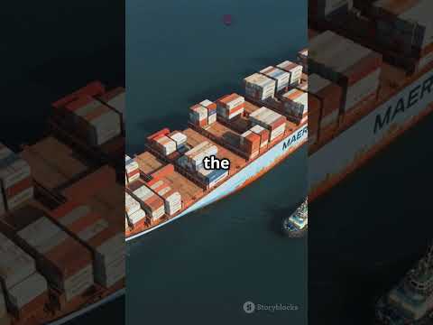 Top 5 Shipping Giants! 😱🛳️ #global #maritime #logistics #top5 #shippingindustry