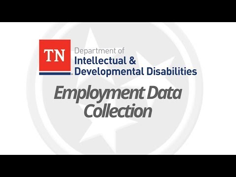 Employment Data Collection
