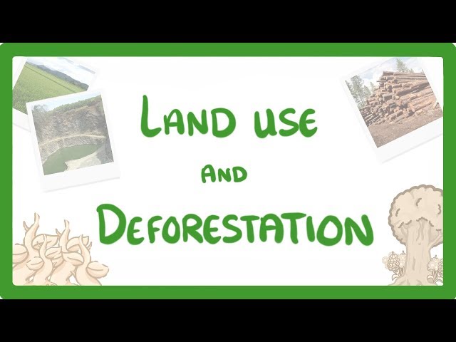 The Impact of Deforestation and Peat Bog Destruction on Biodiversity ...
