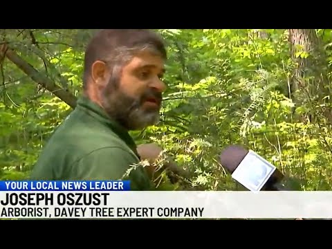 What To Know About Invasive Species in the Capital Region