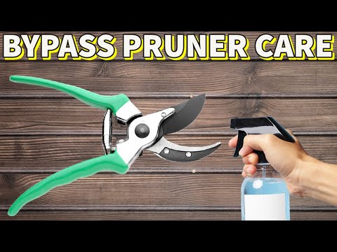 How To Clean And Maintain PRUNING SHEARS | Easy DIY Guide