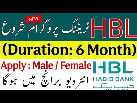 HBL Bank Jobs 2025: How to Apply Online | HBL Careers*