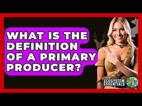 What Is The Definition Of A Primary Producer? - Ecosystem Essentials