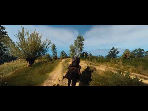 Steam Community :: Video :: The Witcher 3 jolly stroll