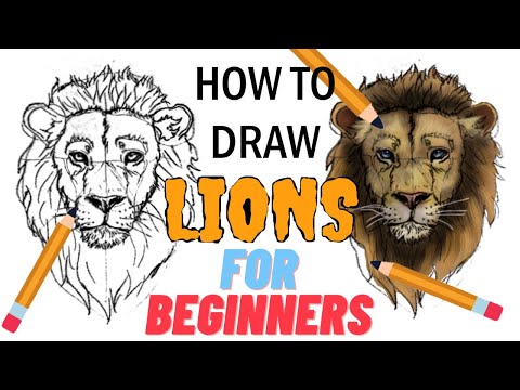HOW TO DRAW A LION | Beginners step by step guide to drawing a simple lion face
