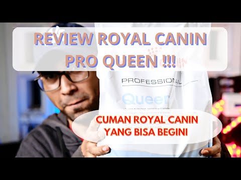 REVIEW ROYAL CANIN PRO QUEEN. MAKANAN KHUSUS KUCING BIRAHI , HAMIL & MENYUSUI !!!