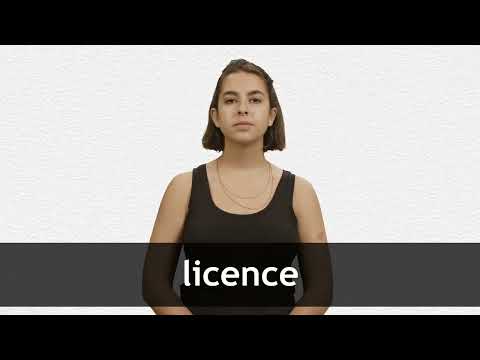 English Translation of “LICENCE” | Collins French-English Dictionary