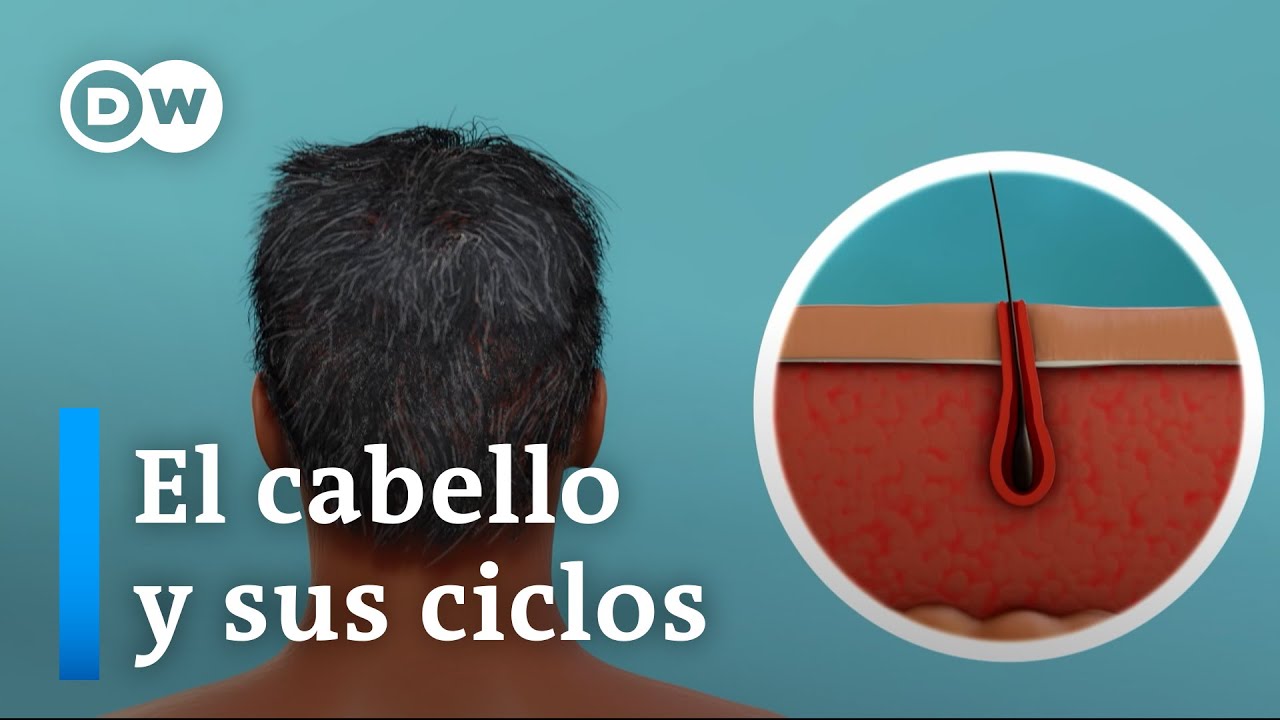 ¿Por qué tenemos pelo?