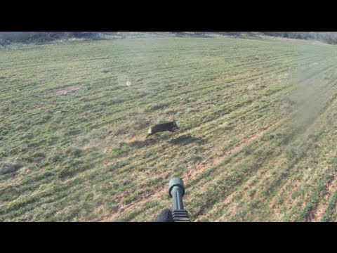 Helicopter Hog and Coyote Hunt – Cedar Ridge Aviation | The Weapon Blog