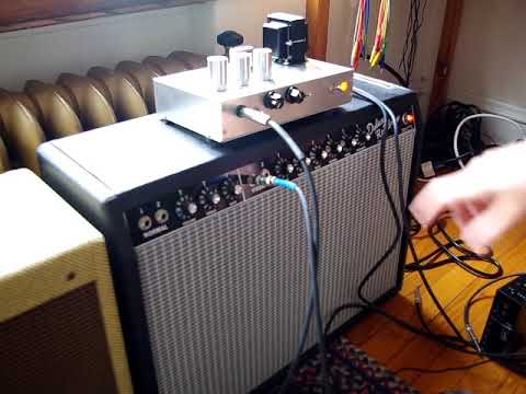 DIY Firefly Guitar Amp Head | Reverb