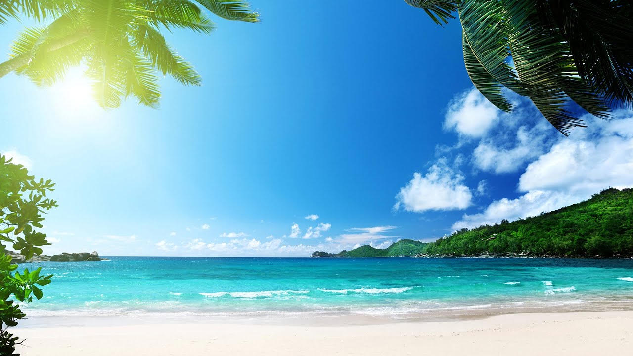 Beach Summer Palms Ocean Tropical Paradise Sea Sunshine | 4K Wallpapers (Free Download Link)