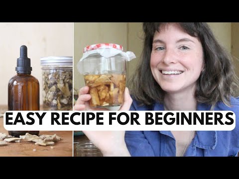 How to make lion's mane tincture (dual-extracted recipe for beginners)
