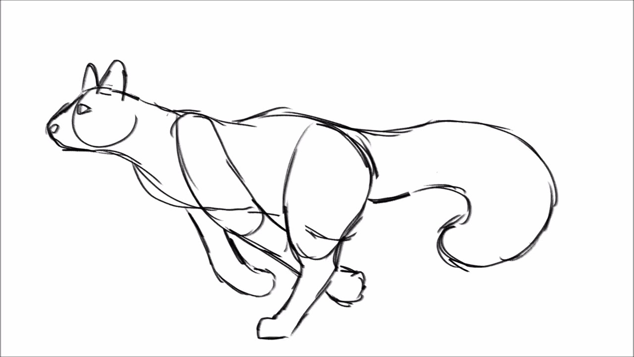 rough cat runcycle [12FPS]