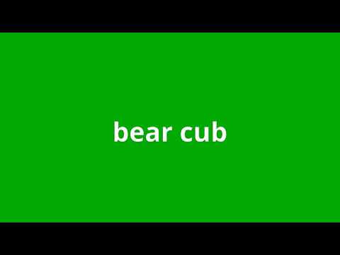 what is the meaning of bear cub