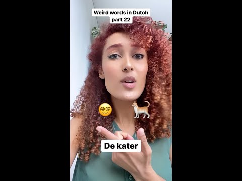 Weird words in Dutch part 22 π³π± what does "kater" mean in Dutch?