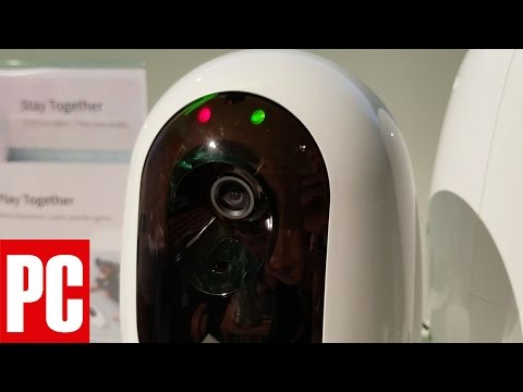 Hands On With Acer's Pawbo+ Pet Toy