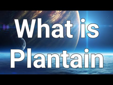 What is Plantain. Urdu or English