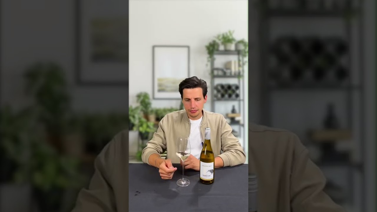 🤨 Supermarktwein Test: Sauvignon Blanc #wein