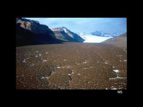 The History of the Martian South Polar Cap - Carver Bierson