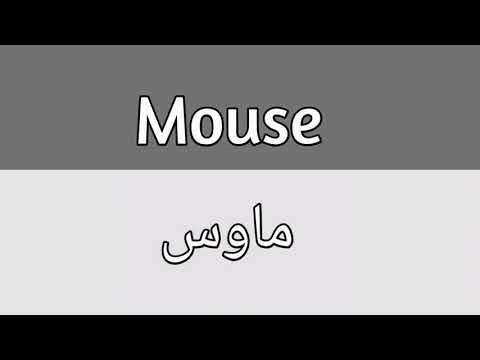 Mouse Meaning In Urdu