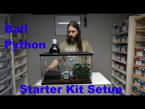Ball Python Starter Kit Setup for Beginners