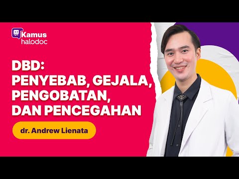 Demam Berdarah: Penyebab, Gejala, Pengobatan, dan Pencegahan