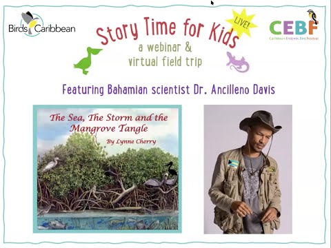 Mangrove Story Time and Virtual Field Trip for Curious Kids