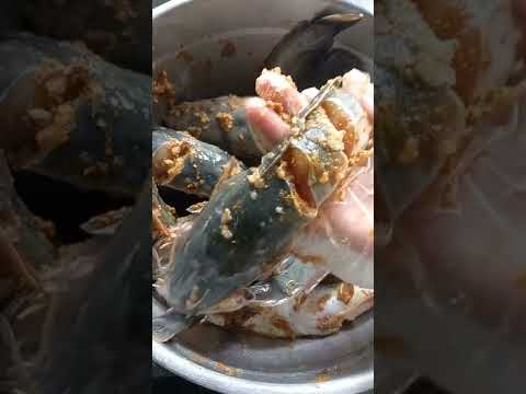 IKAN LELE BUMBU KETUMBAR‼️