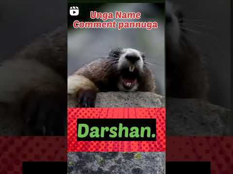 Darshan name funny voice