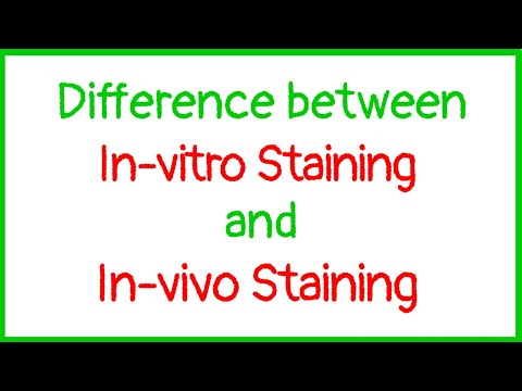 Difference between in-vivo and in-vitro staining |