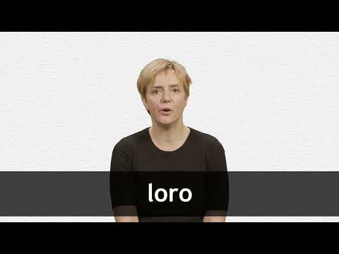 English Translation of “LORO” | Collins Spanish-English Dictionary