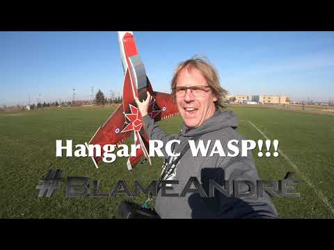 Wasp Flight Video in 4K - Is 4K Better?