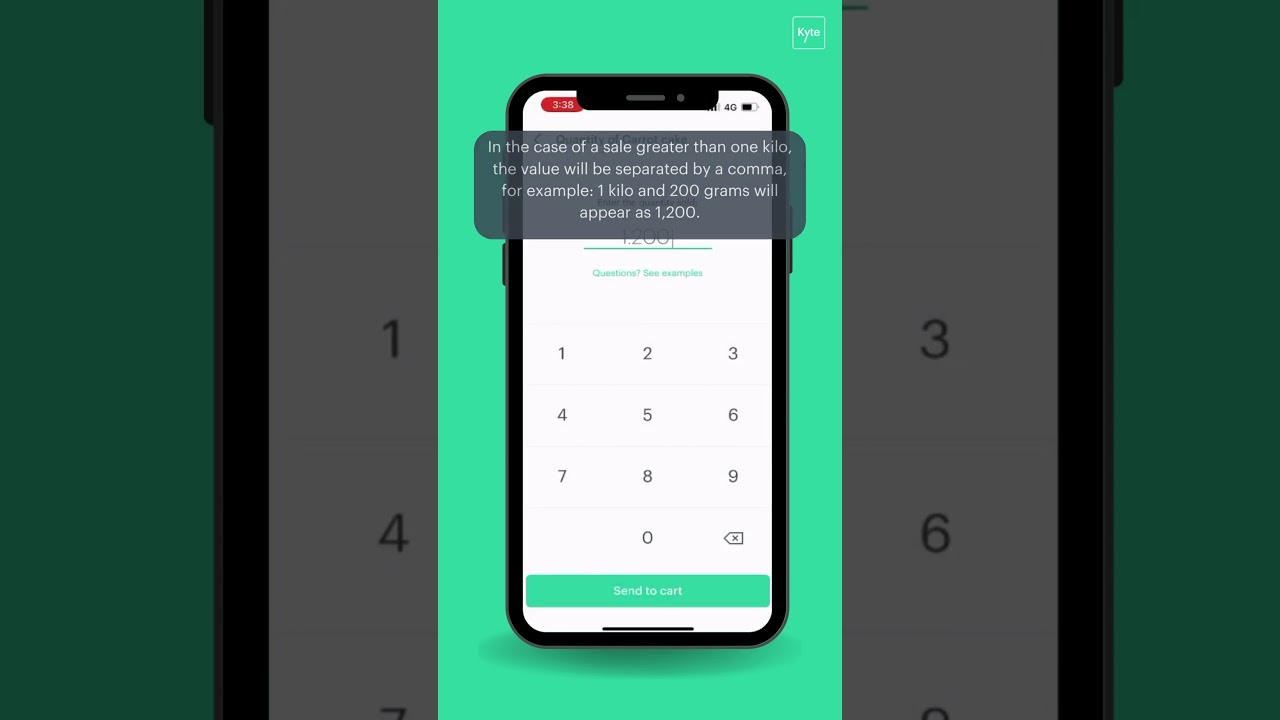 Kyte | Fractional Sales - Tutorial