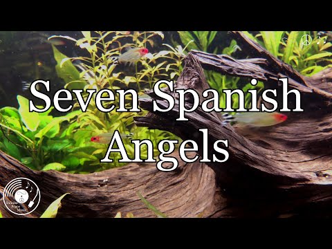 Seven Spanish Angels w/ lyrics - Ray Charles & Willie Nelson Version