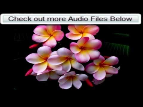 Download Royalty Free Music-SAMPLE 4