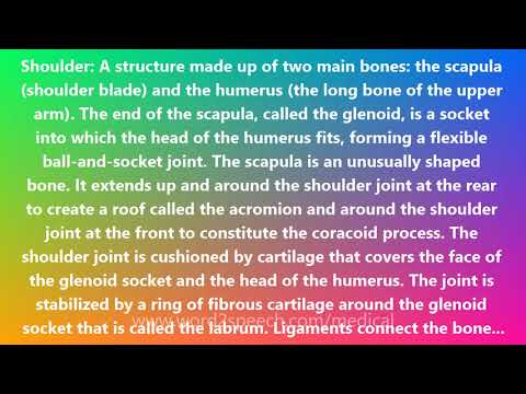 Shoulder - Medical Meaning and Pronunciation