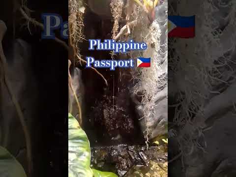 Philippine passport 🛂🇵🇭#trending#youtubeshorts#brown#philippinepassport#travel#yt#passport#airport