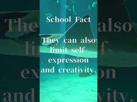 School Uniforms: Pros and Cons #SchoolFacts #uniforms #facts #paintingdreams #womensshorts