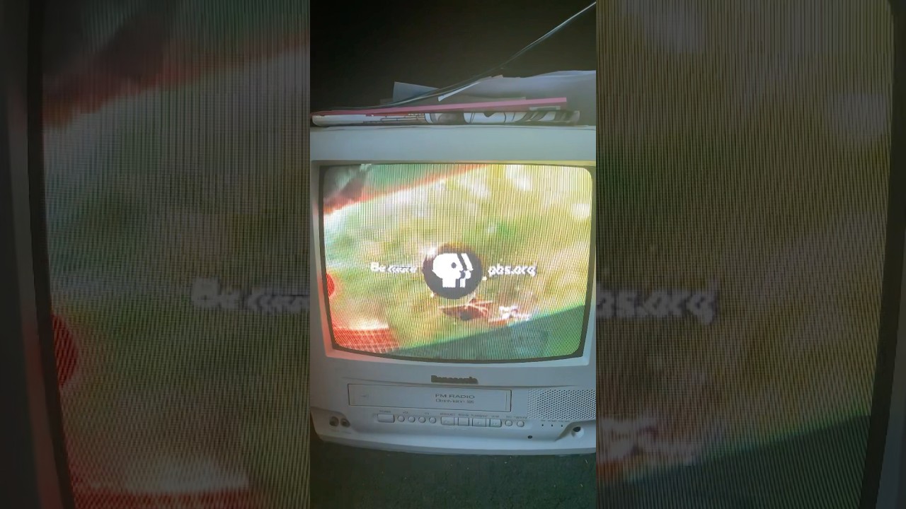 PBS Ident Bumper Viewers Like You And Be More PBS (2009)