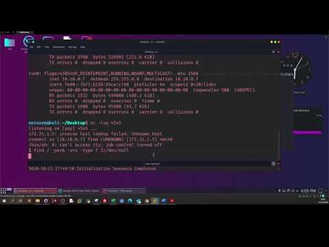 Using Python Interpreters and Hex Editors To Gain Root Access - Cyberseclabs Debug