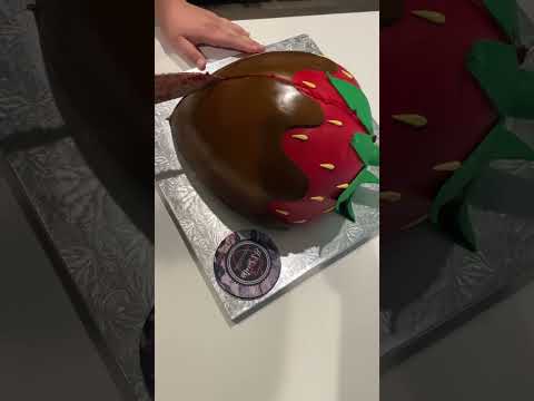 Strawberry Cake tiktok brittany l1