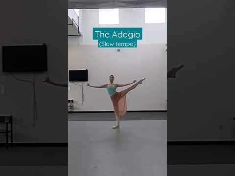 #ballerina #dancer #dance #pointeshoes #ballet #dancevideo #adagio #slow #arabesque #stopandenjoy