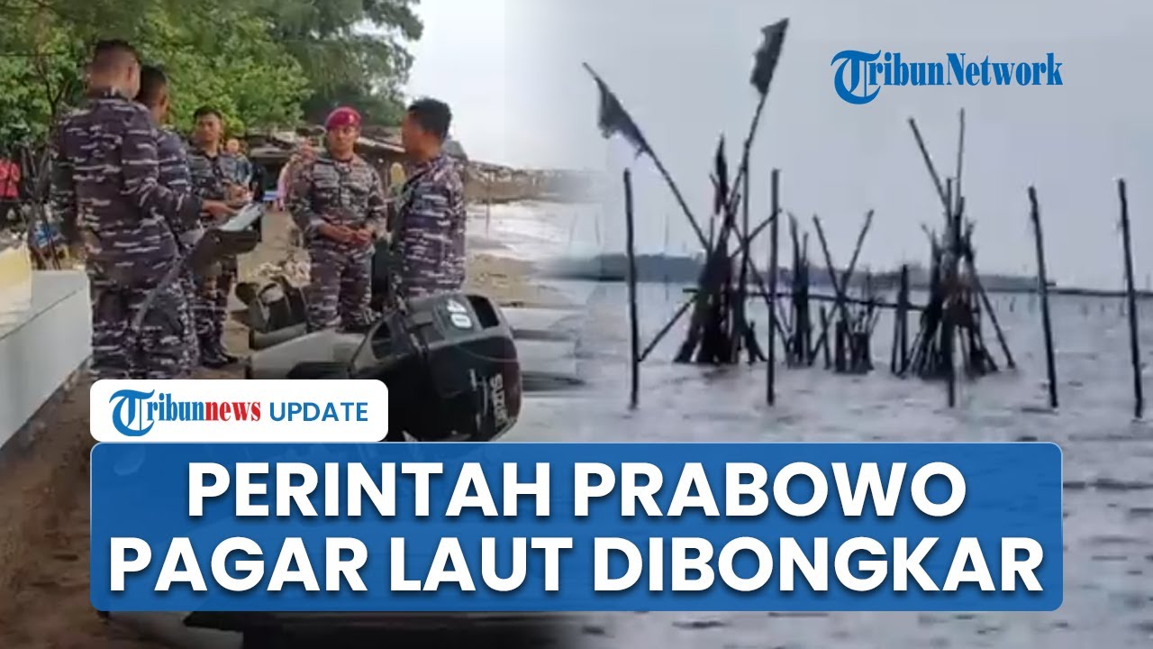 Perintah Langsung Prabowo, Detik-detik Pagar Laut di Tangerang Dibongkar TNI AL Dibantu Nelayan ...